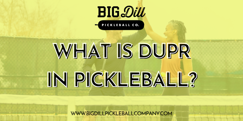 What is DUPR in Pickleball? The Game-Changing Pickleball Ranking Syste ...